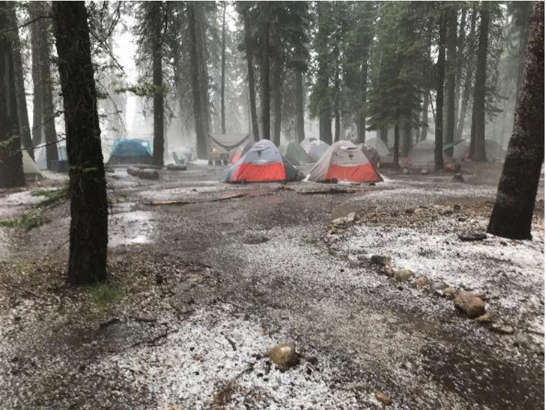 CAMP WOLFEBORO FIELD REPORT – BSA Troop 200 – Lafayette, CA